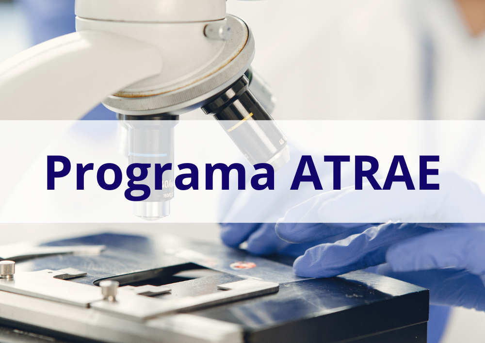 Home ANECA - Aneca Web