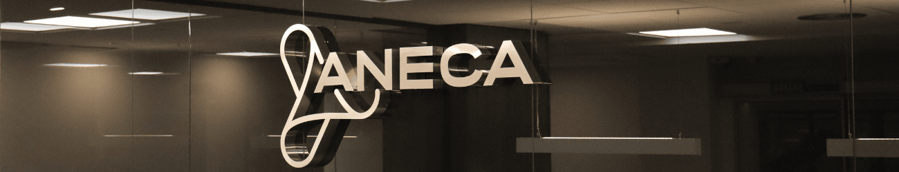 About us - Aneca Web