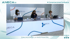 Conversaciones con ANECA: principios y directrices generales para la actualización de los ...